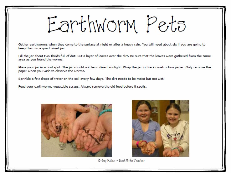 Ten Interesting Facts Worms Book Units Teacher Ten Interesting Facts Worms Book Units Teacher
