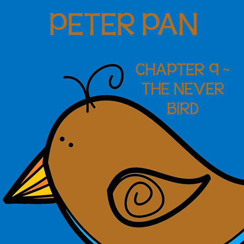 Peter Pan ~ Chapter 9 "The Never Bird" - Book Units Teacher